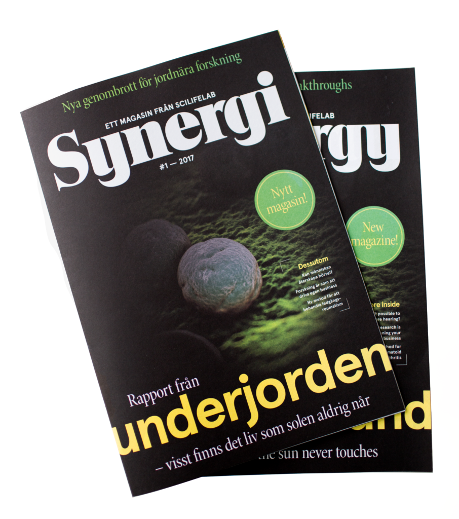 First issue of Synergy magazine available - SciLifeLab