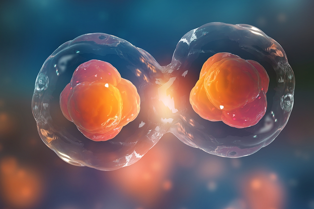Understanding Na ve Pluripotent Stem Cells SciLifeLab Understanding Na ve Pluripotent Stem Cells SciLifeLab