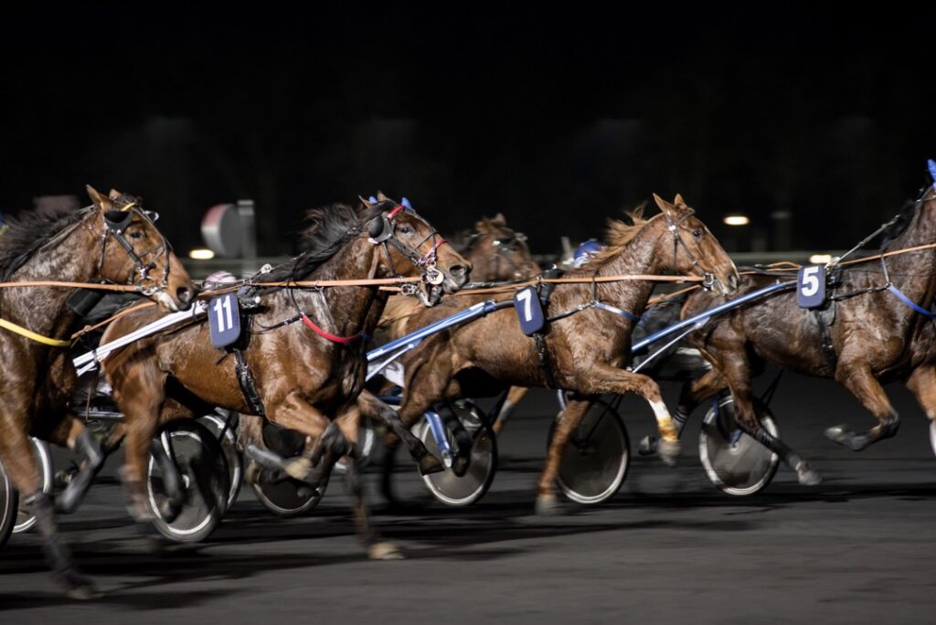 Horses’ trotting racing ability undoubtedly polygenic - SciLifeLab