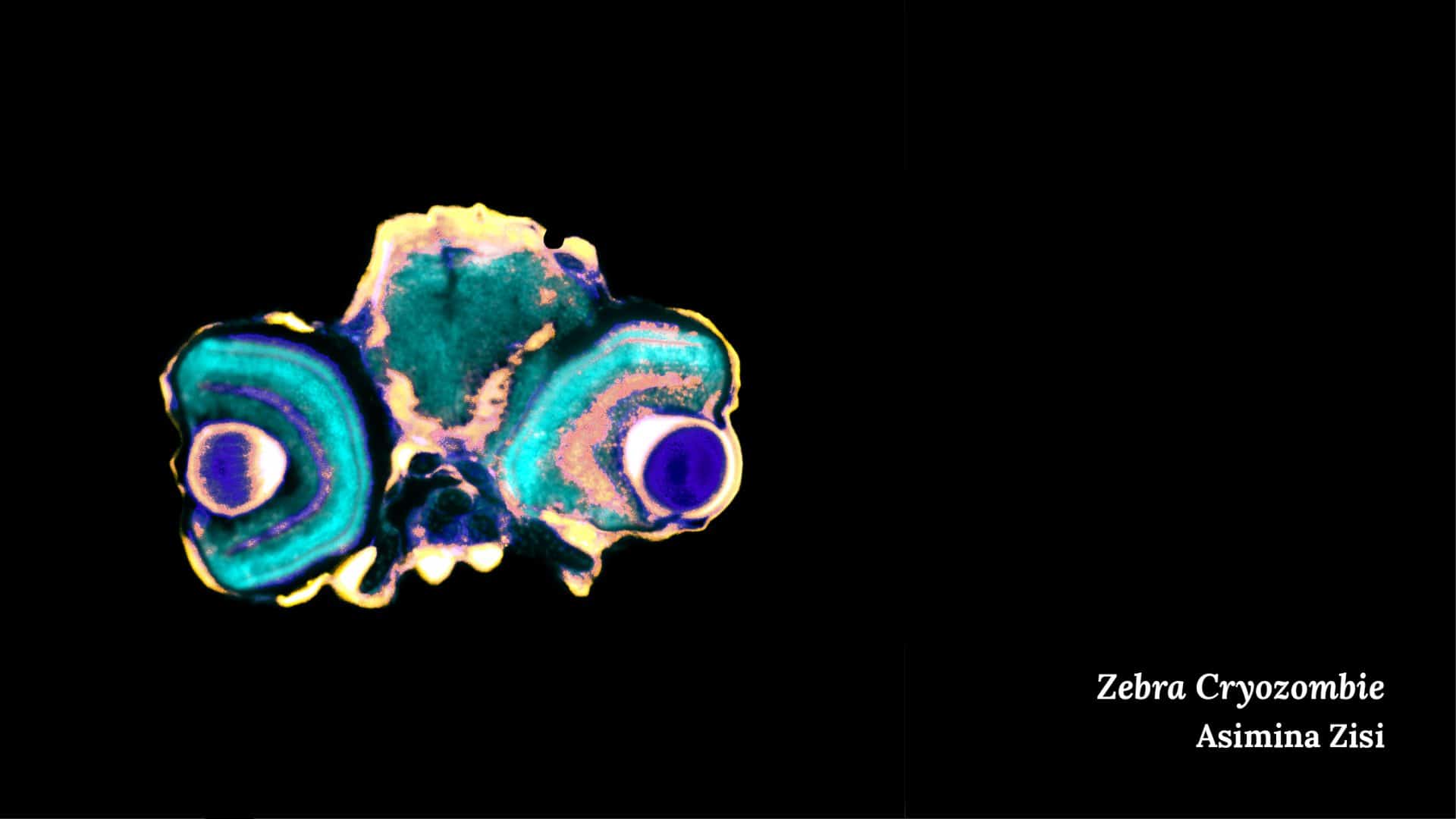 Groundbreaking research and the beauty of science, in new art ...