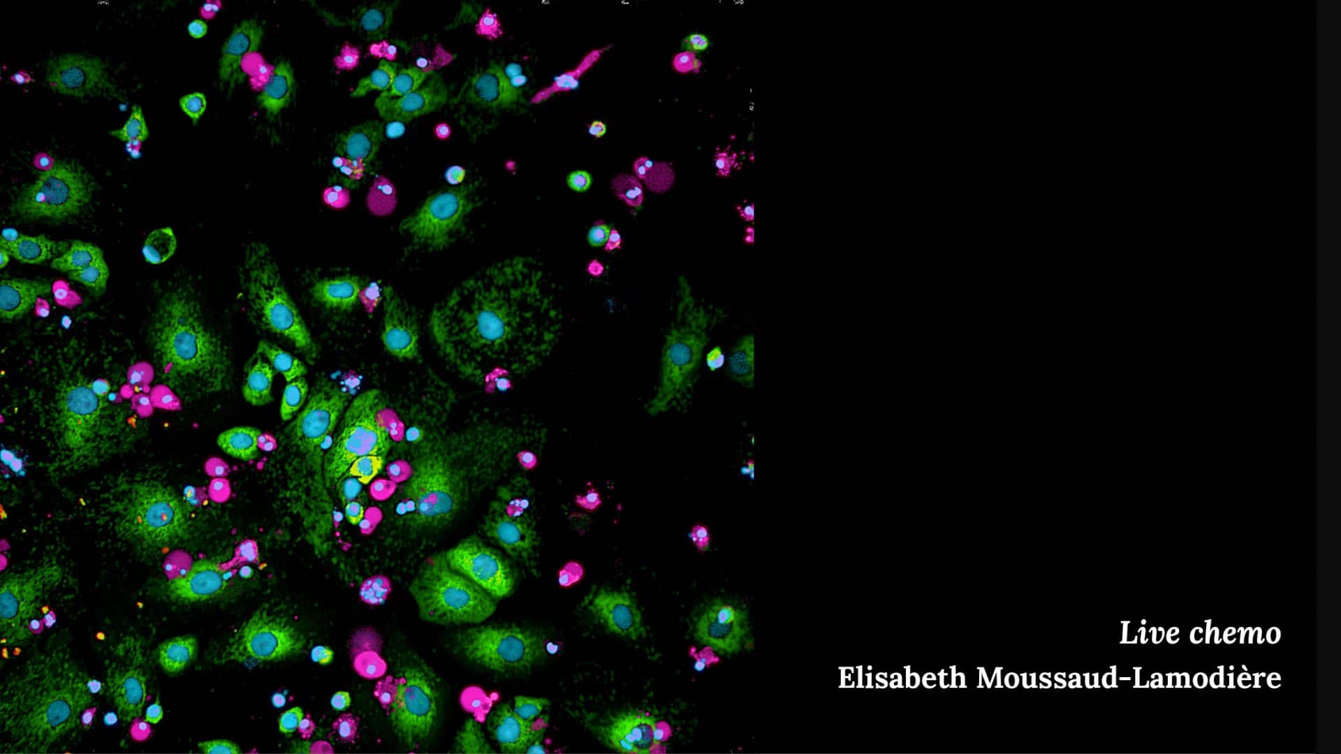 Groundbreaking research and the beauty of science, in new art ...