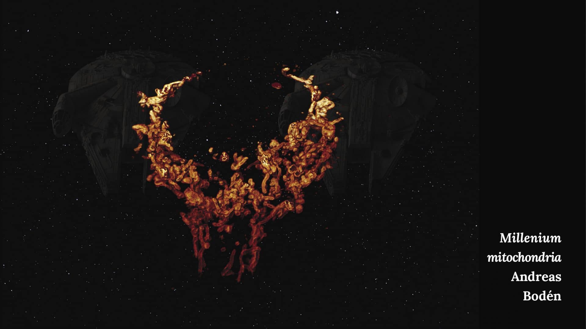 Groundbreaking research and the beauty of science, in new art ...