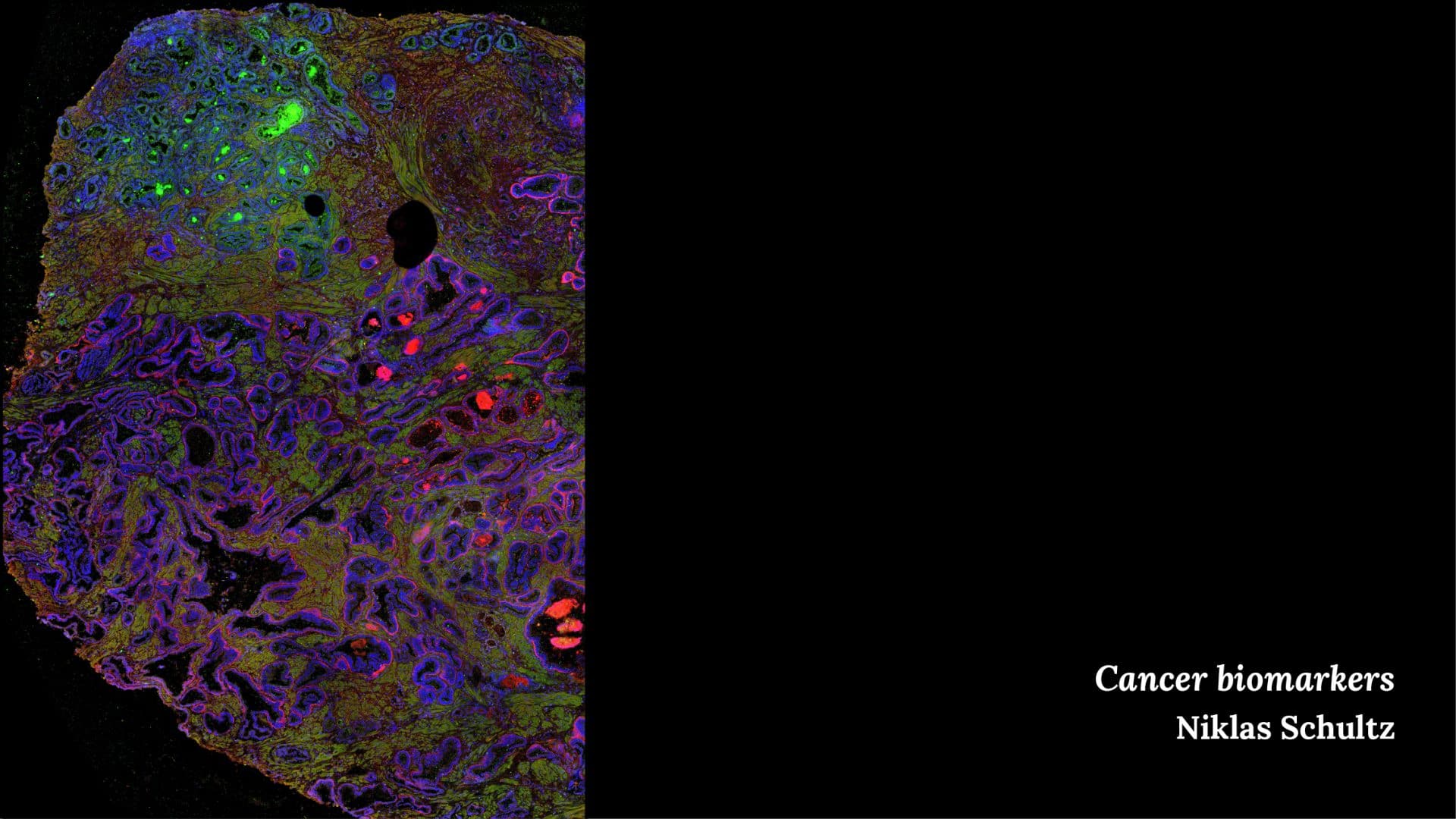 Groundbreaking research and the beauty of science, in new art ...