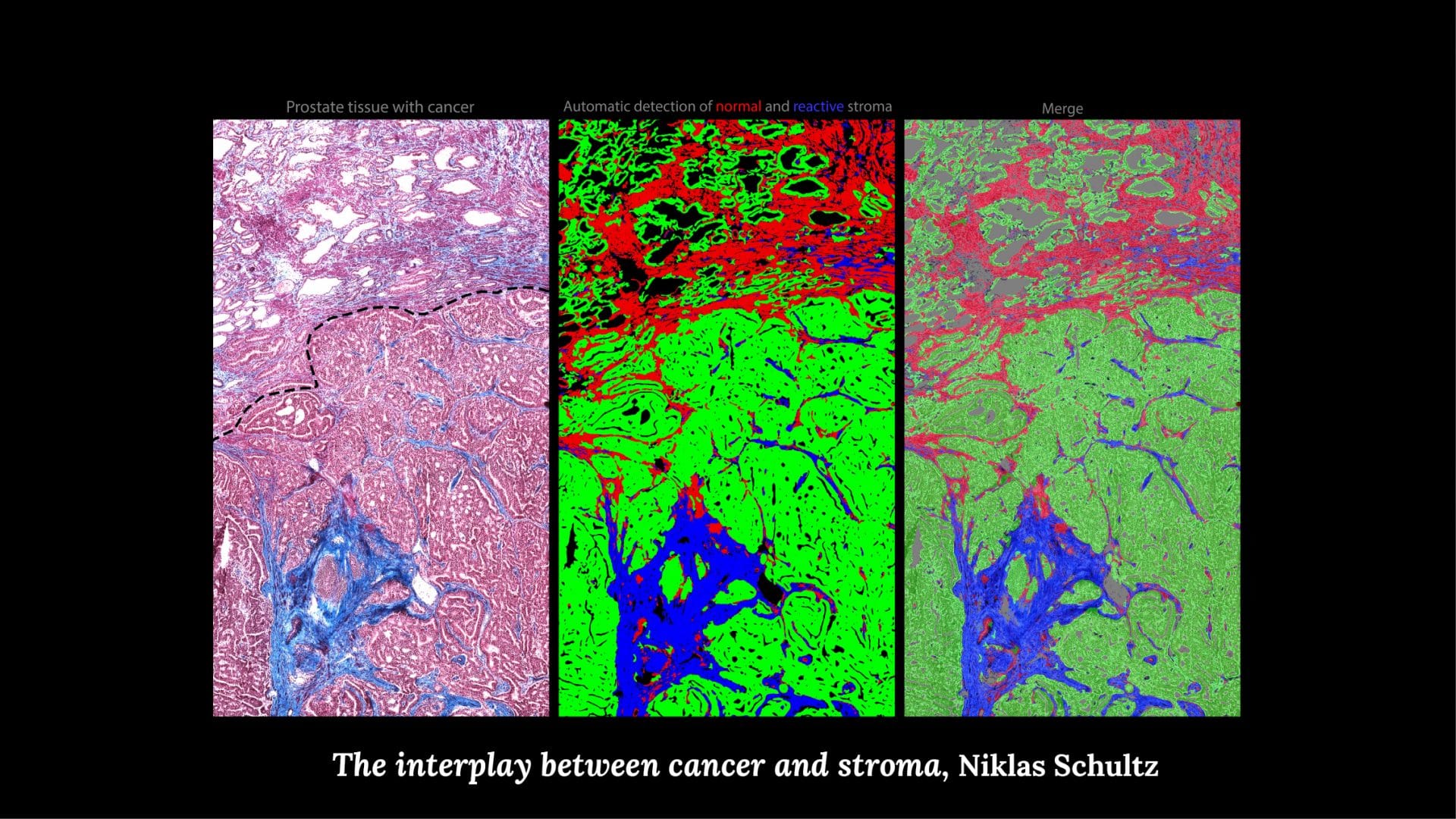 Groundbreaking research and the beauty of science, in new art ...