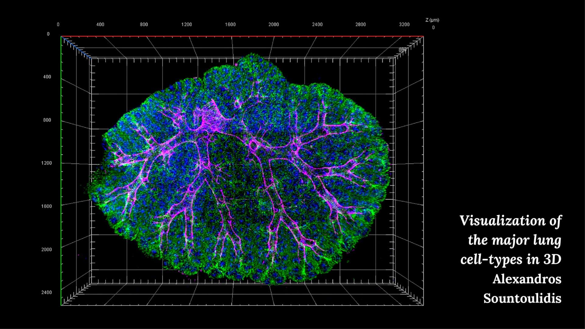 Groundbreaking research and the beauty of science, in new art ...