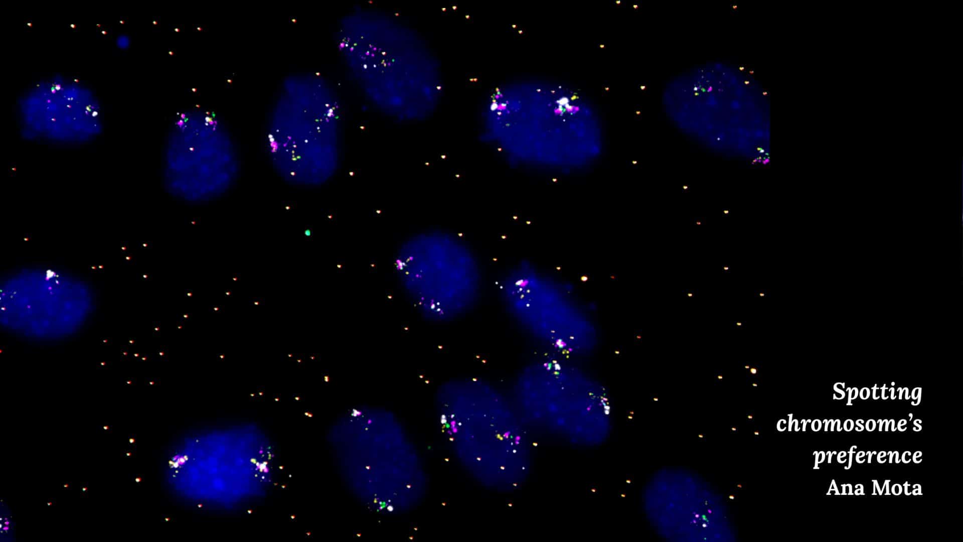 Groundbreaking research and the beauty of science, in new art ...