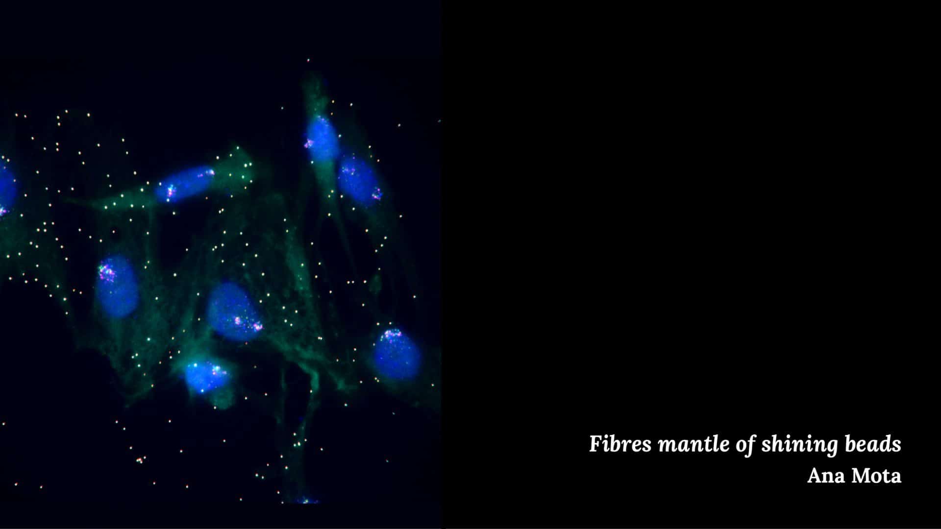 Groundbreaking research and the beauty of science, in new art ...