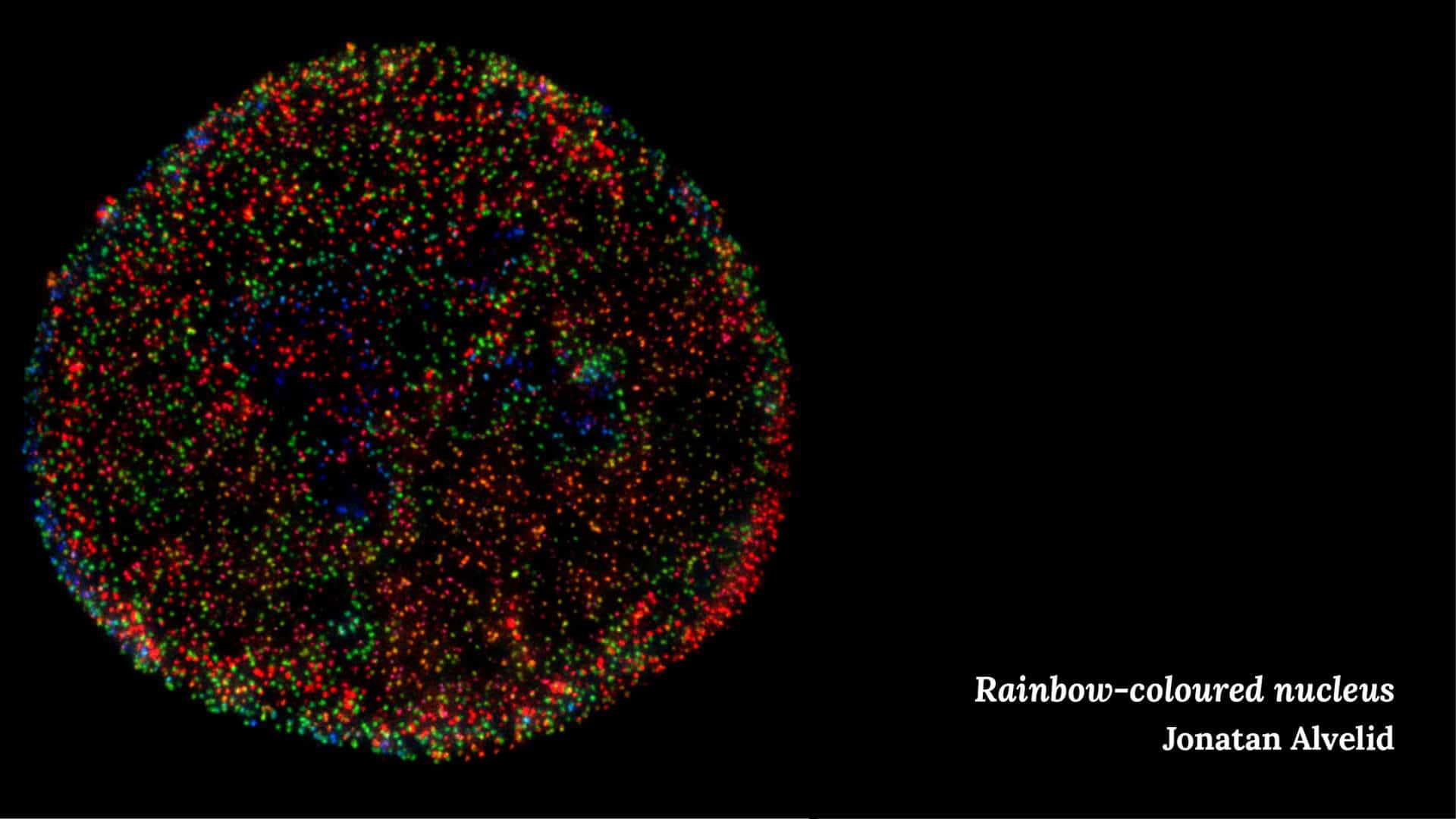 Groundbreaking research and the beauty of science, in new art ...