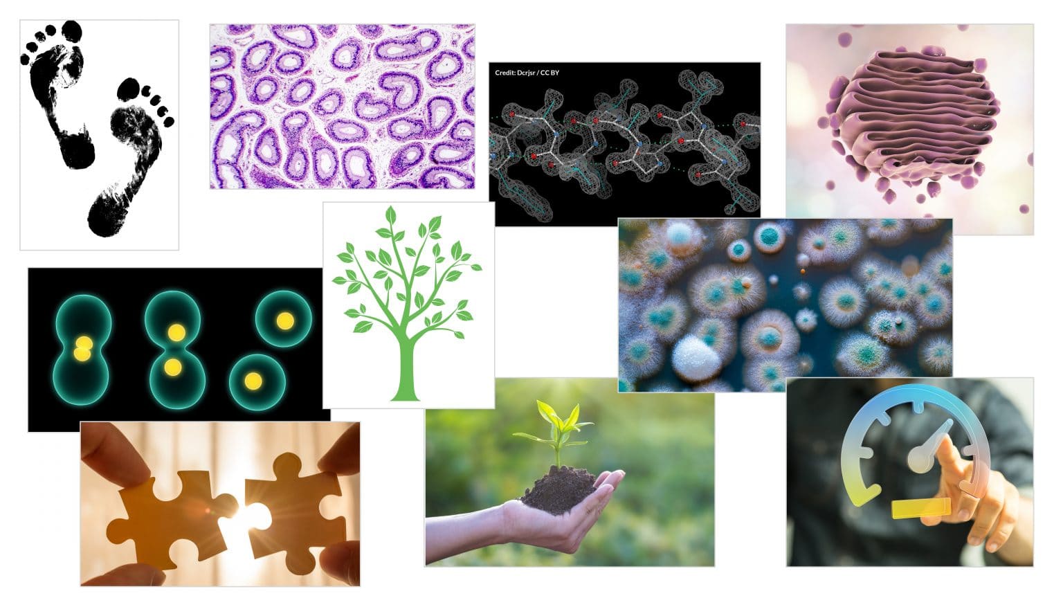 Meet our new logo! - SciLifeLab