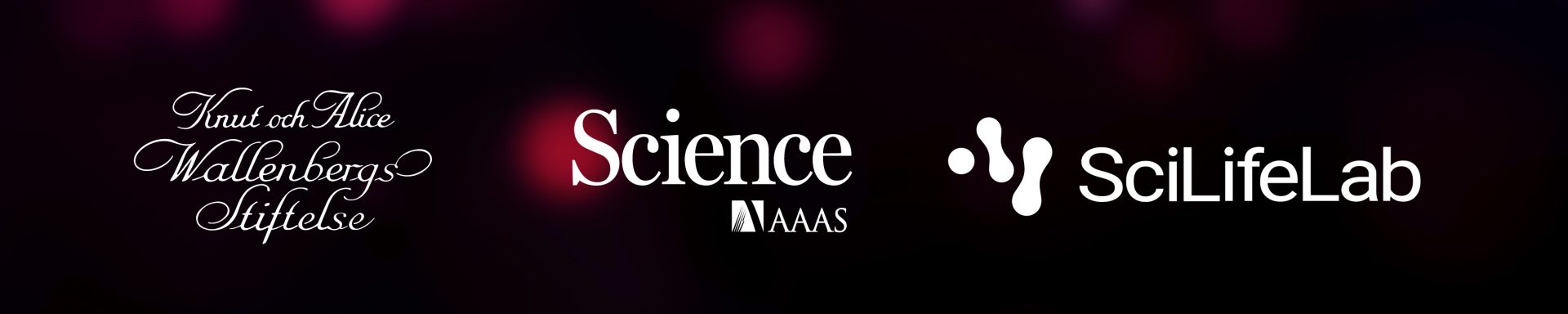 Four New Single-Cell Genomics Techniques Track Cell Development of ...