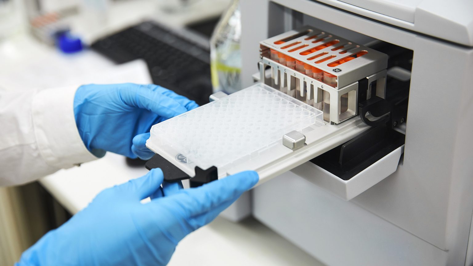 Infrastructure update: The Drug Discovery and Development (DDD ...