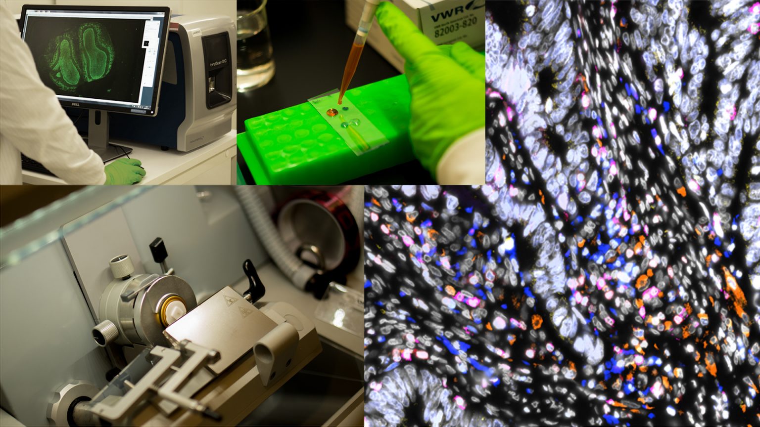 Infrastructure update: The new Spatial and Single Cell Biology platform ...