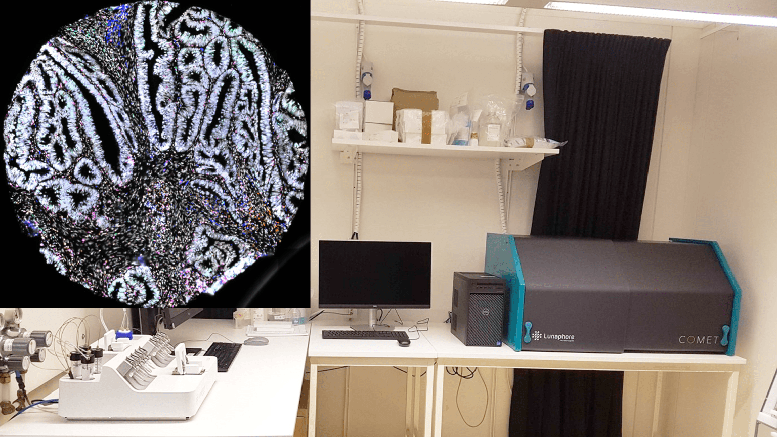 Infrastructure update: COMET, a new instrument in the Spatial ...