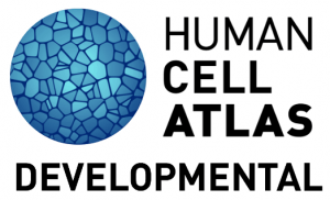 TissUUmaps 3: Interactive visualization and quality assessment of large ...