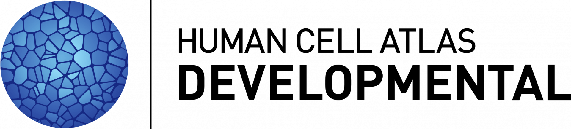 Single-cell and spatial atlases of the adult and developing human brain ...