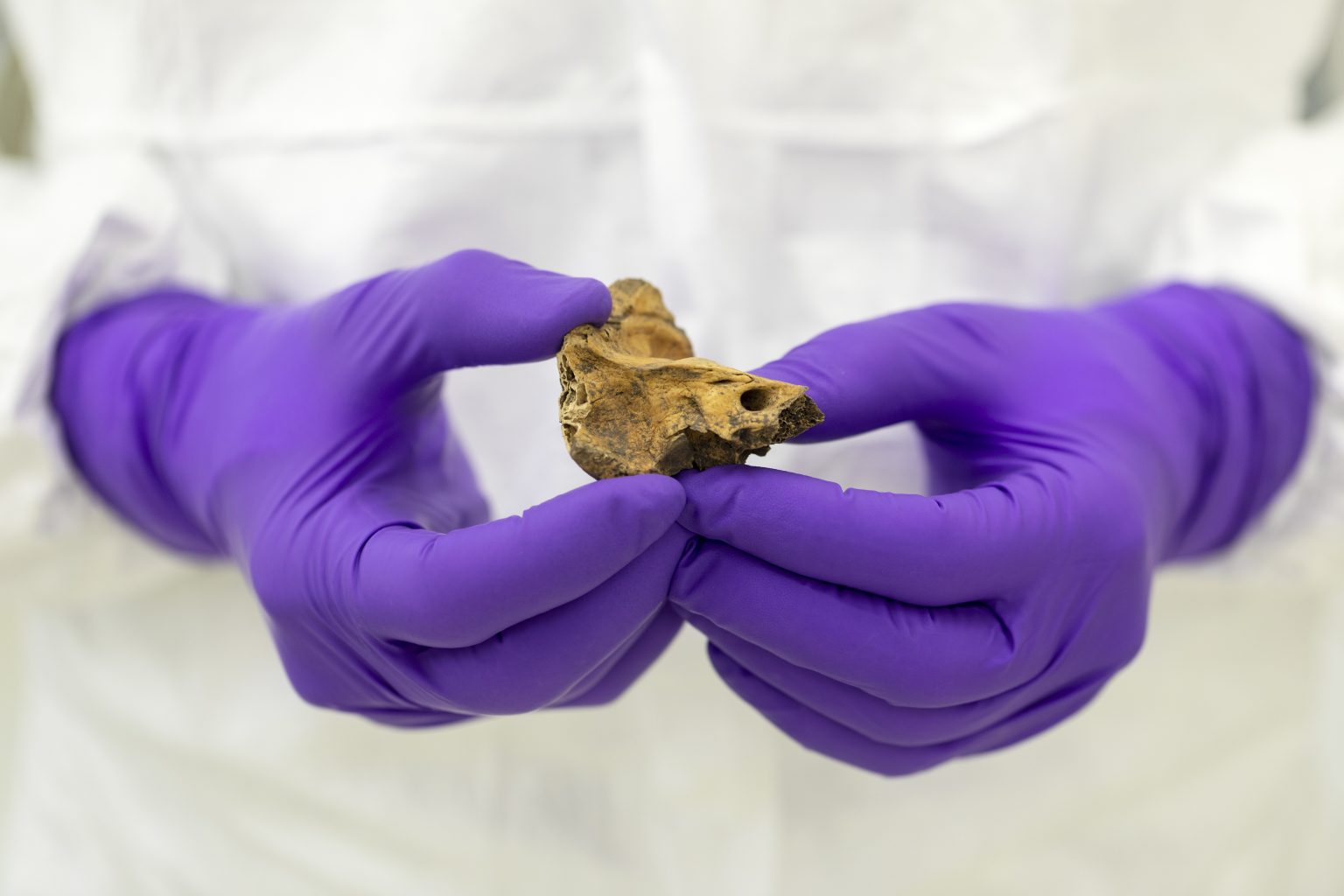 Ancient DNA symposium - SciLifeLab