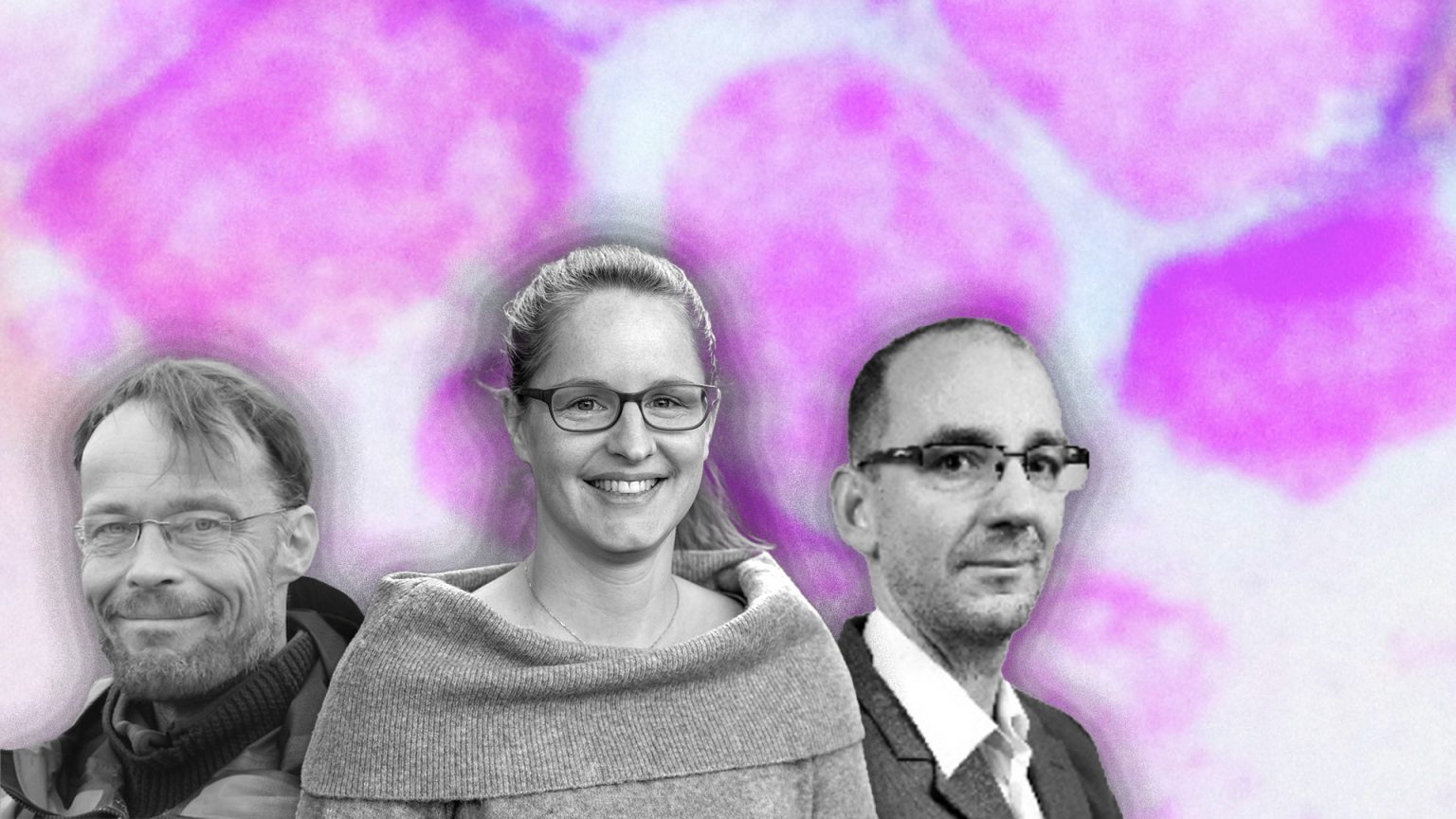SciLifeLab researchers granted 83,8 MSEK from Knut and Alice Wallenberg ...
