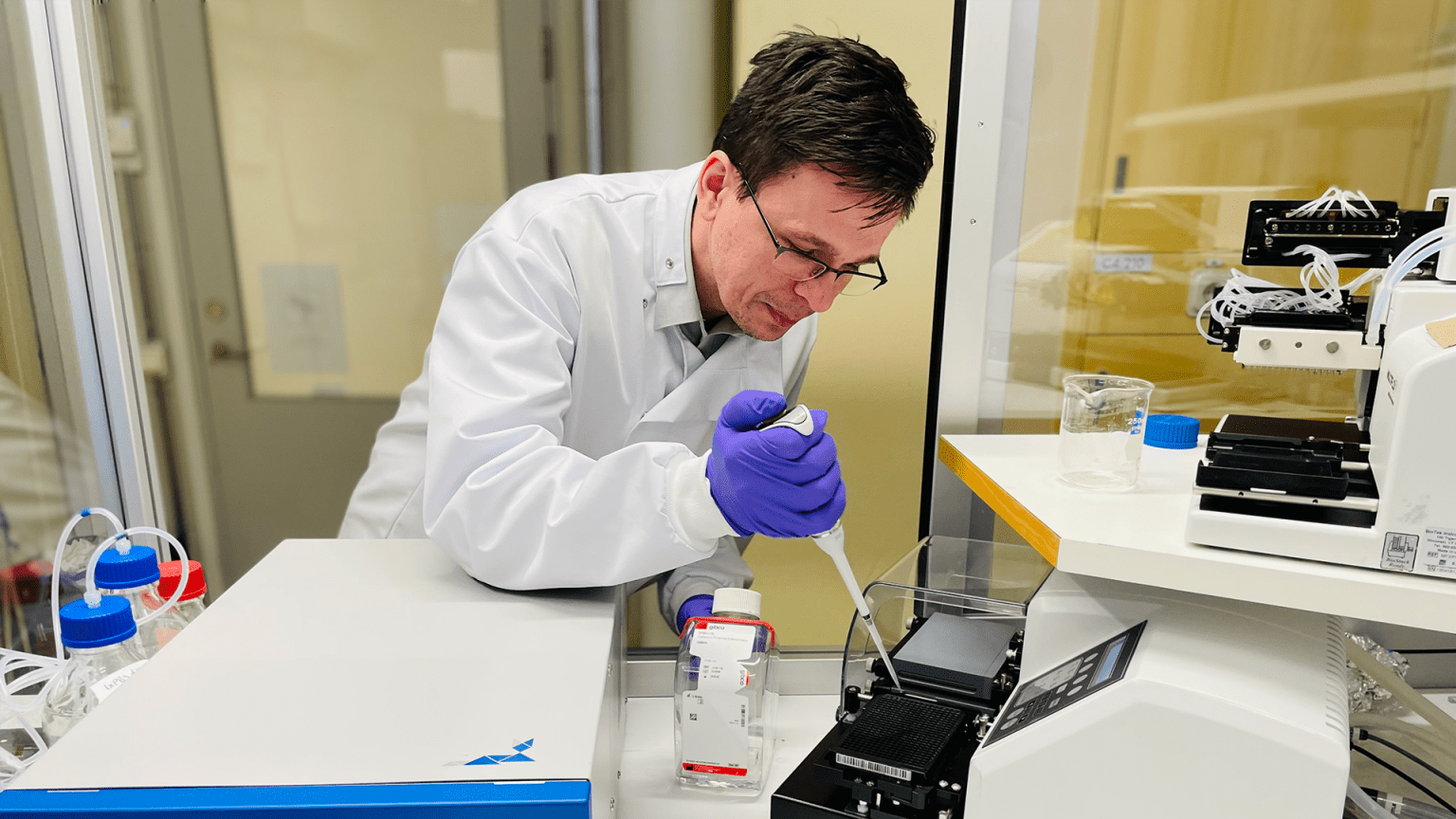 Morphological profiling for compound profiling and drug discovery on ...