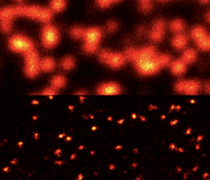 Advanced fluorescence microscopy symposium – super resolution MINFLUX ...