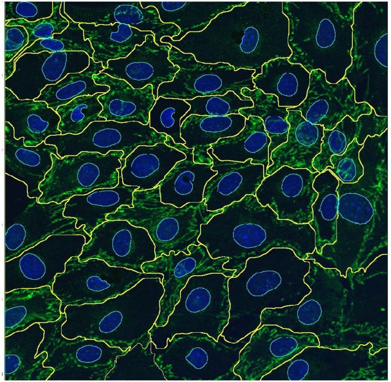 Digital image analysis for scientific applications - SciLifeLab