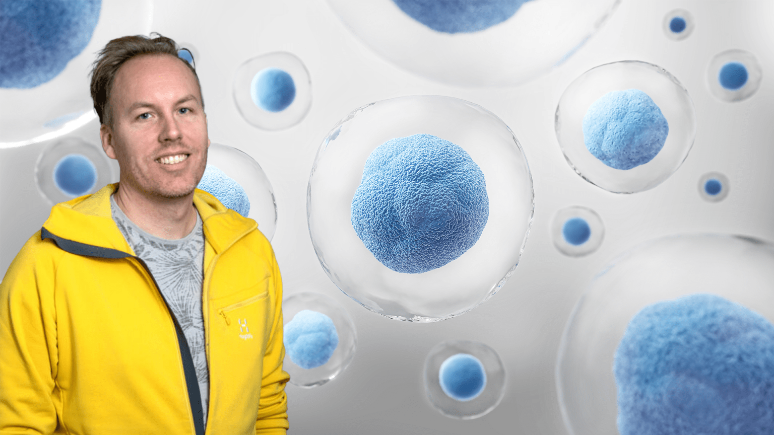 New insights into transcriptional regulation and compounds effect on ...