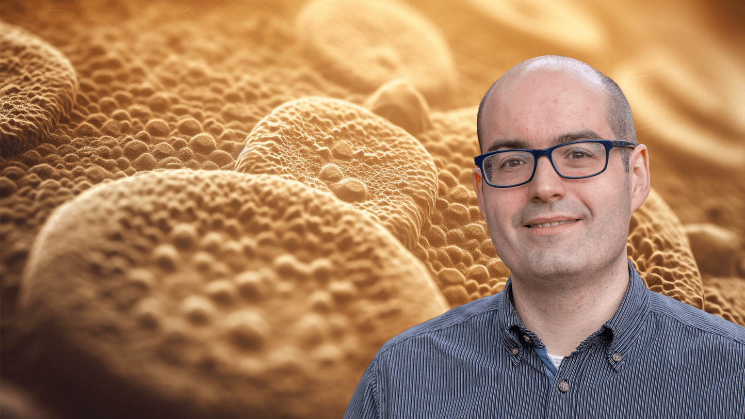 SciLifeLab researcher awarded ERC Synergy grant for EPIC project ...