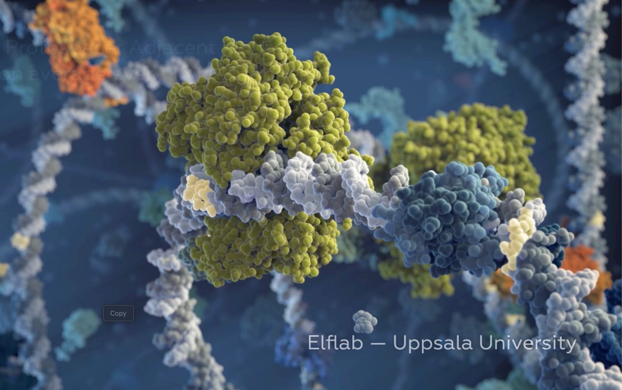 Johan Elf - SciLifeLab