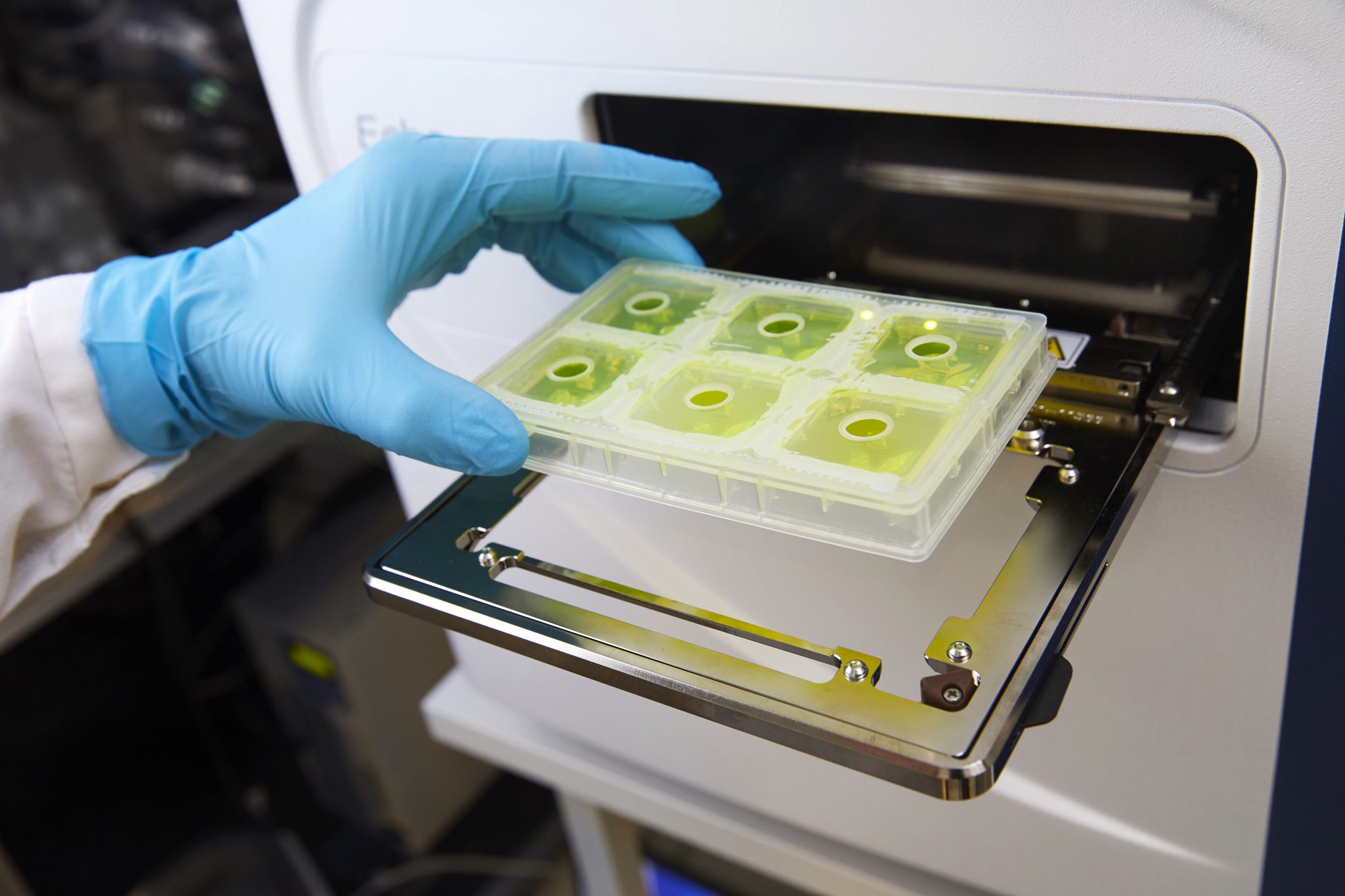 Call for proposals: Chemical Biology and Genome Engineering platform ...