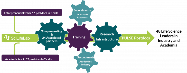 About the PULSE program - SciLifeLab